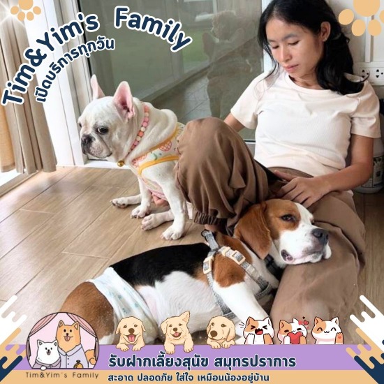 รับฝากเลี้ยงสุนัข สมุทรปราการ | รับฝากเลี้ยงสุนัข สมุทรปราการ - Tim&Yim ...