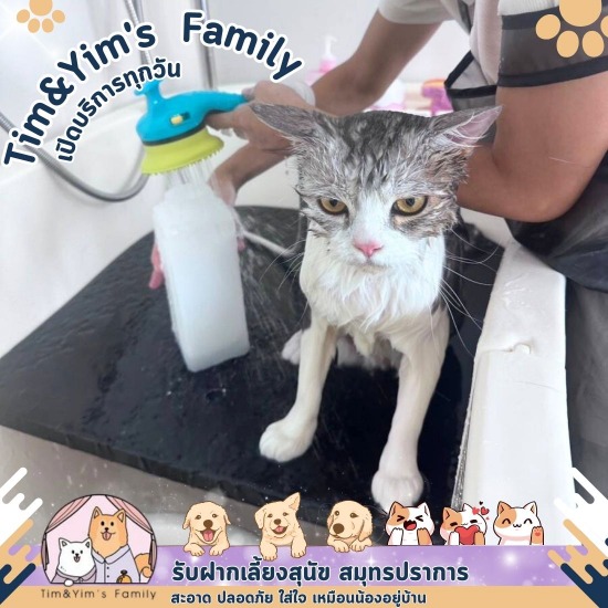 ร้านอาบน้ำแมว สมุทรปราการ | รับฝากเลี้ยงสุนัข สมุทรปราการ - Tim&Yim Family
